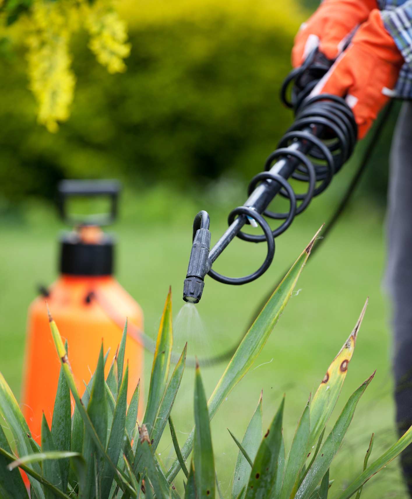 Entropic Landscapes - Lawn Protection - Entropic Accent Designs